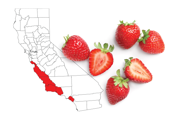 California Strawberries! – RAW Food and Goods